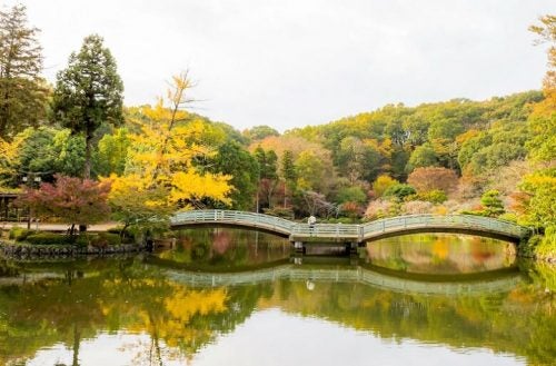The 11 Best Places to Live in Tokyo - MoveHub