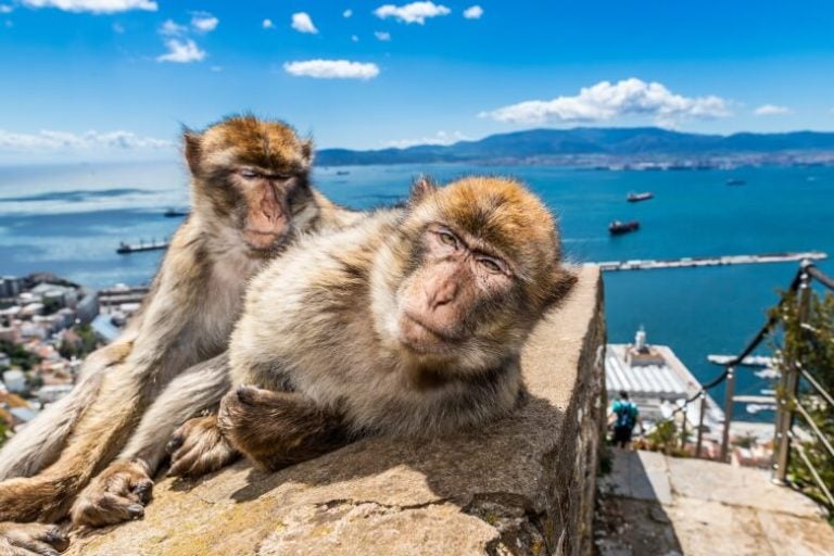 19 Things to Know Before Moving to Gibraltar | Culture Tips