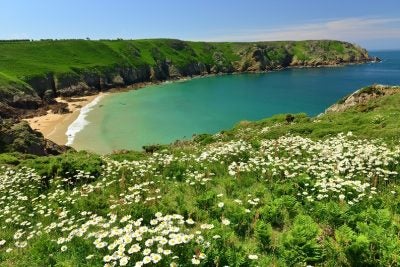 21 Things to Know Before Moving to Jersey | Culture Tips